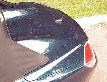 Trunk GIF - Find on GIFER