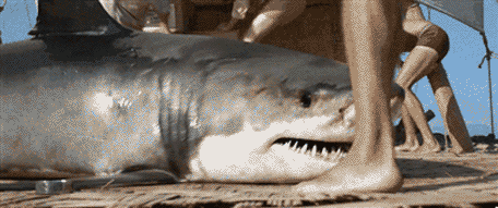 Webcam javascript GIF - Find on GIFER