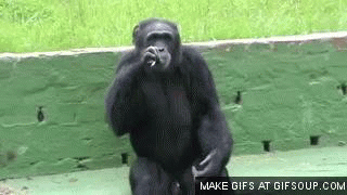 Chimp GIF - Find on GIFER