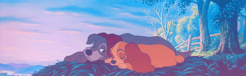 Lady and the tramp cartoons comics GIF - Find on GIFER