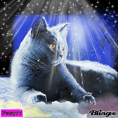 Heaven GIF - Find on GIFER