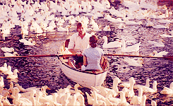 Bicycle conga line GIF on GIFER - by Grosar