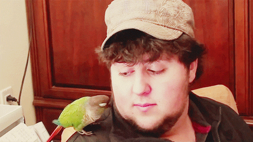 Animation animals kiss GIF - Find on GIFER