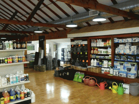 Store GIF - Find on GIFER