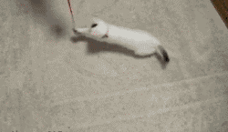 Round GIF - Find on GIFER