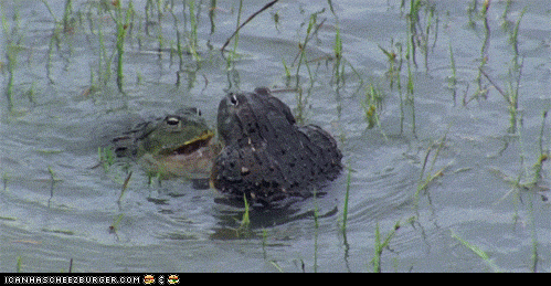 Life partners GIF - Pesquisar em GIFER