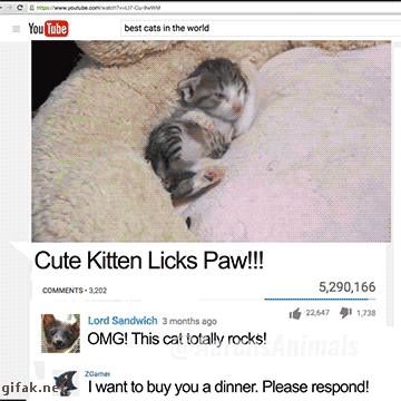 GIF paw - animated GIF on GIFER