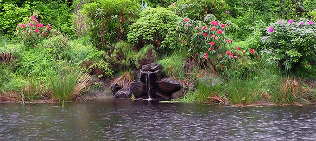 Cinemagraph rainy GIF - Find on GIFER