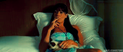 GIF meow - animated GIF on GIFER