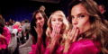 Vsfs GIF - Find on GIFER