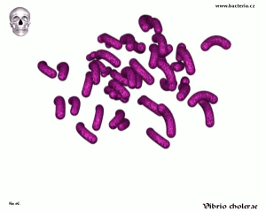 Bacteria GIF - Find on GIFER