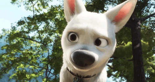 Bolt dog disney GIF - Find on GIFER