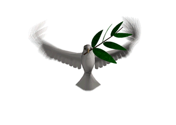 Dove GIF - Find on GIFER
