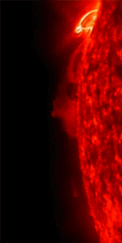 Space sun the sun GIF - Find on GIFER