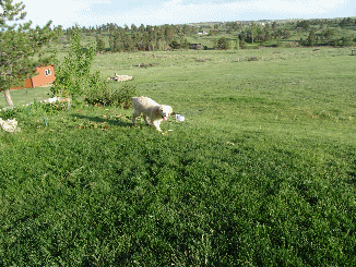 Colorado GIF - Find on GIFER