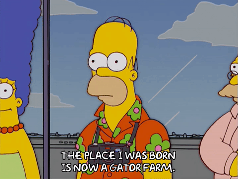 GIF interview - animated GIF on GIFER