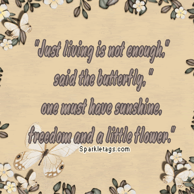 Freedom GIF - Find on GIFER