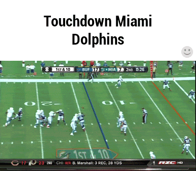 Miami dolphins GIF - Find on GIFER
