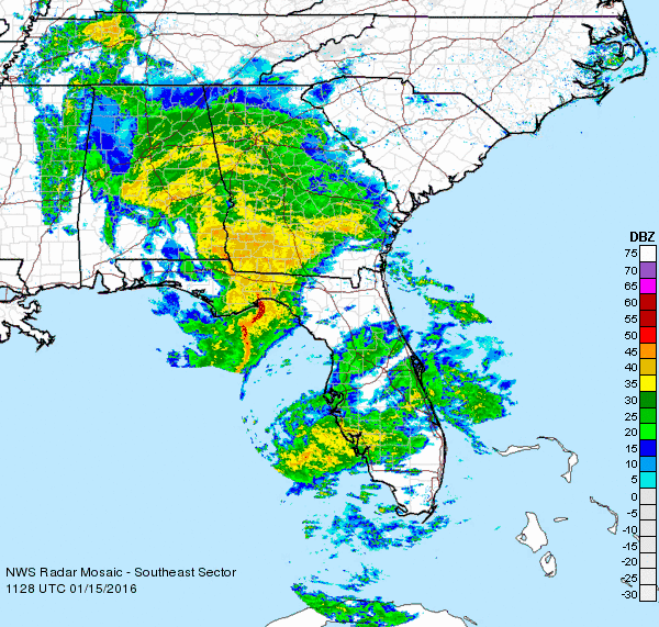 Florida GIF - Find on GIFER