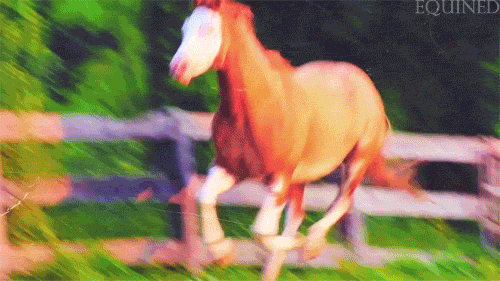 Colors of the wind GIF - Find on GIFER