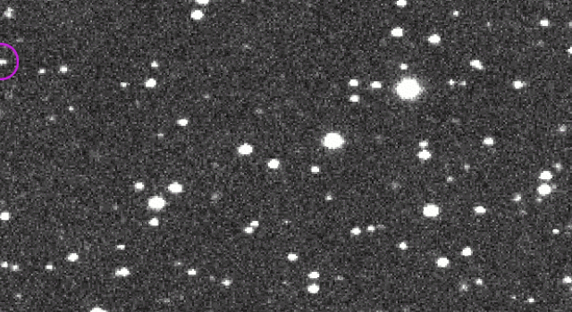 GIF program object - animated GIF on GIFER
