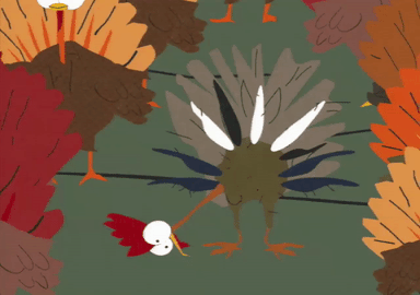 Turkey shoot killig GIF - Find on GIFER
