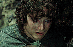 Lotr GIF - Find on GIFER