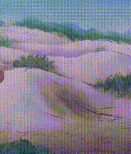 GIF cartoon exercise - animated GIF on GIFER