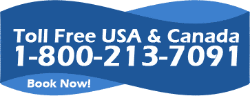 Current events GIF - Find on GIFER