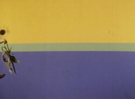 Monty python men silly GIF - Find on GIFER