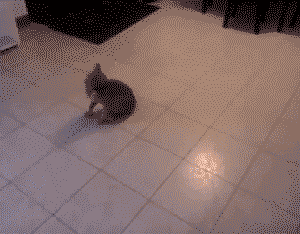 Regret GIF - Find on GIFER