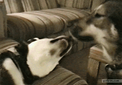 Mine bvs GIF - Find on GIFER