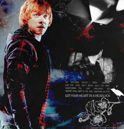 Ron weasley GIF - Find on GIFER