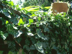 Soundcloud GIF - Find on GIFER