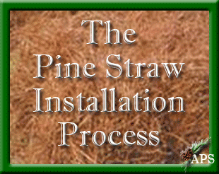Straw GIF - Find on GIFER