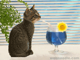 Straw GIF - Find on GIFER