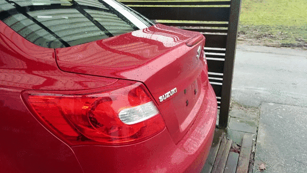Trunk GIF - Find on GIFER