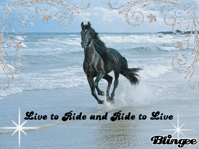 Ride GIF - Find on GIFER