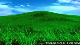 Grass GIF - Find on GIFER