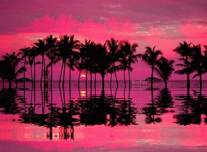 Splash GIF - Find on GIFER