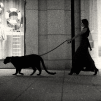 Mfs GIF - Find on GIFER