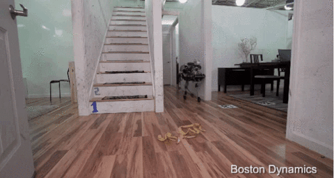 Yahoo news GIF - Find on GIFER