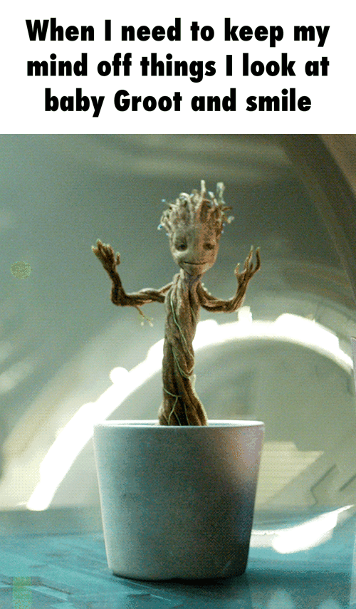 GIF groot - animated GIF on GIFER