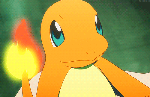 GIF squirtle - animated GIF on GIFER