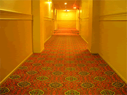 Hallway GIF - Find on GIFER