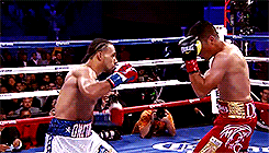 Keith thurman boxe GIF - Pesquisar em GIFER