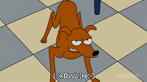 19x09 l'assistant du père noël simpsons GIF - Trouver sur GIFER