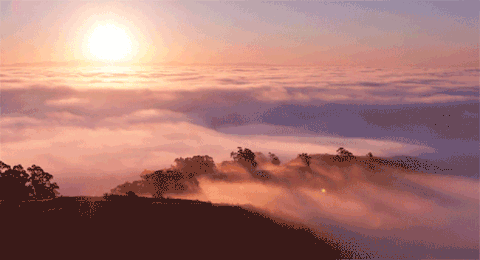 GIF fog - animated GIF on GIFER