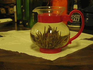 Timelapse tea blossom GIF - Find on GIFER