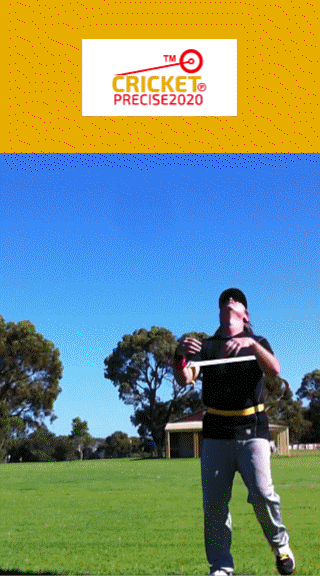 GIF cricket precise - animated GIF on GIFER
